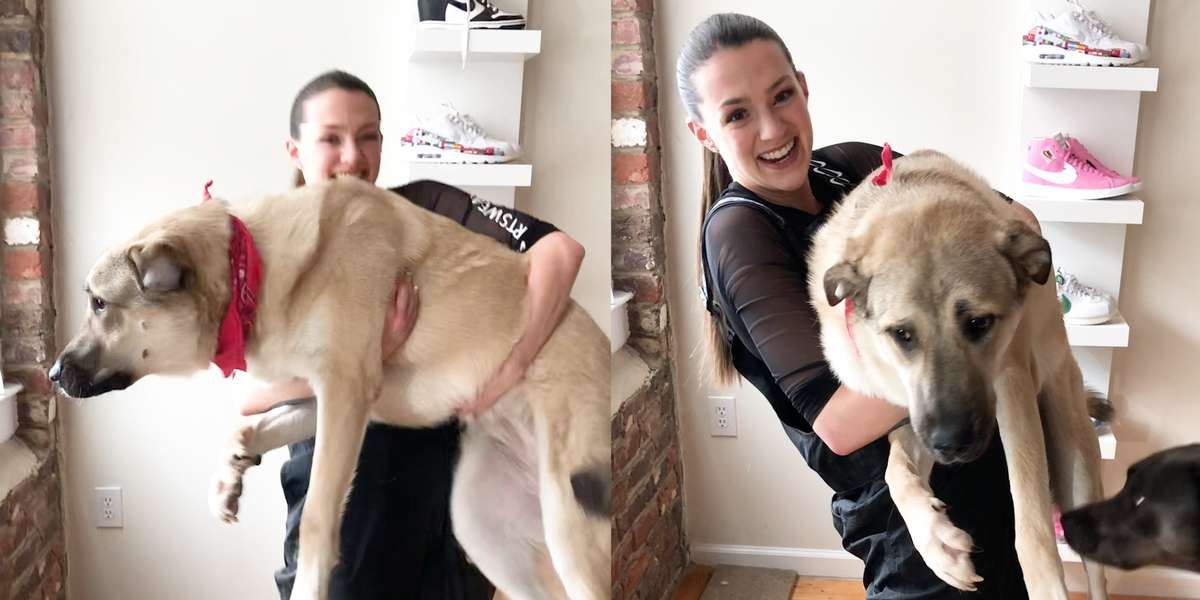 Girl Fills Her Home With Rescue Animals - Videos - The Dodo