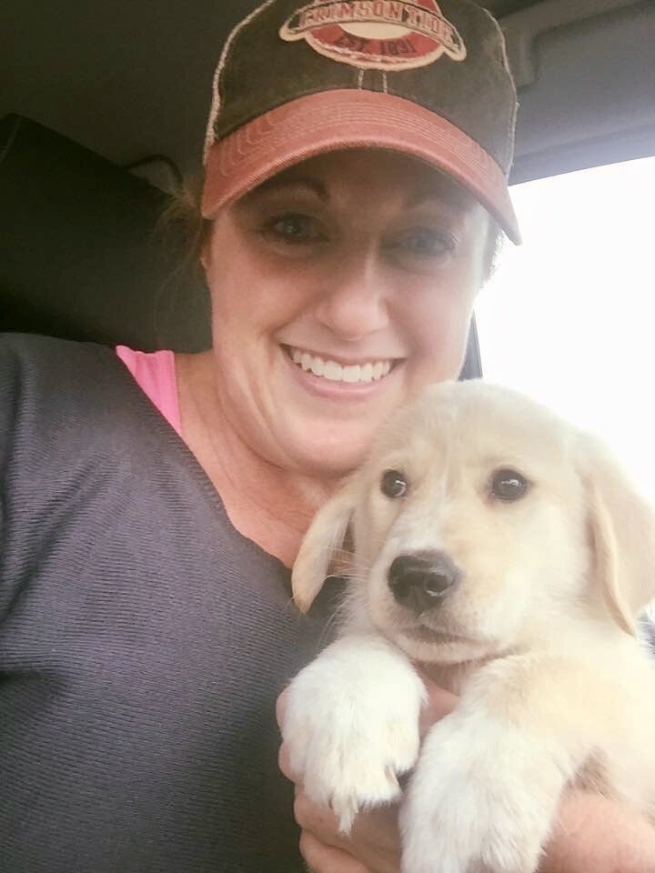 105-Pound Yellow Lab Mix Takes The Best Care Of Tiny Foster Kittens ...