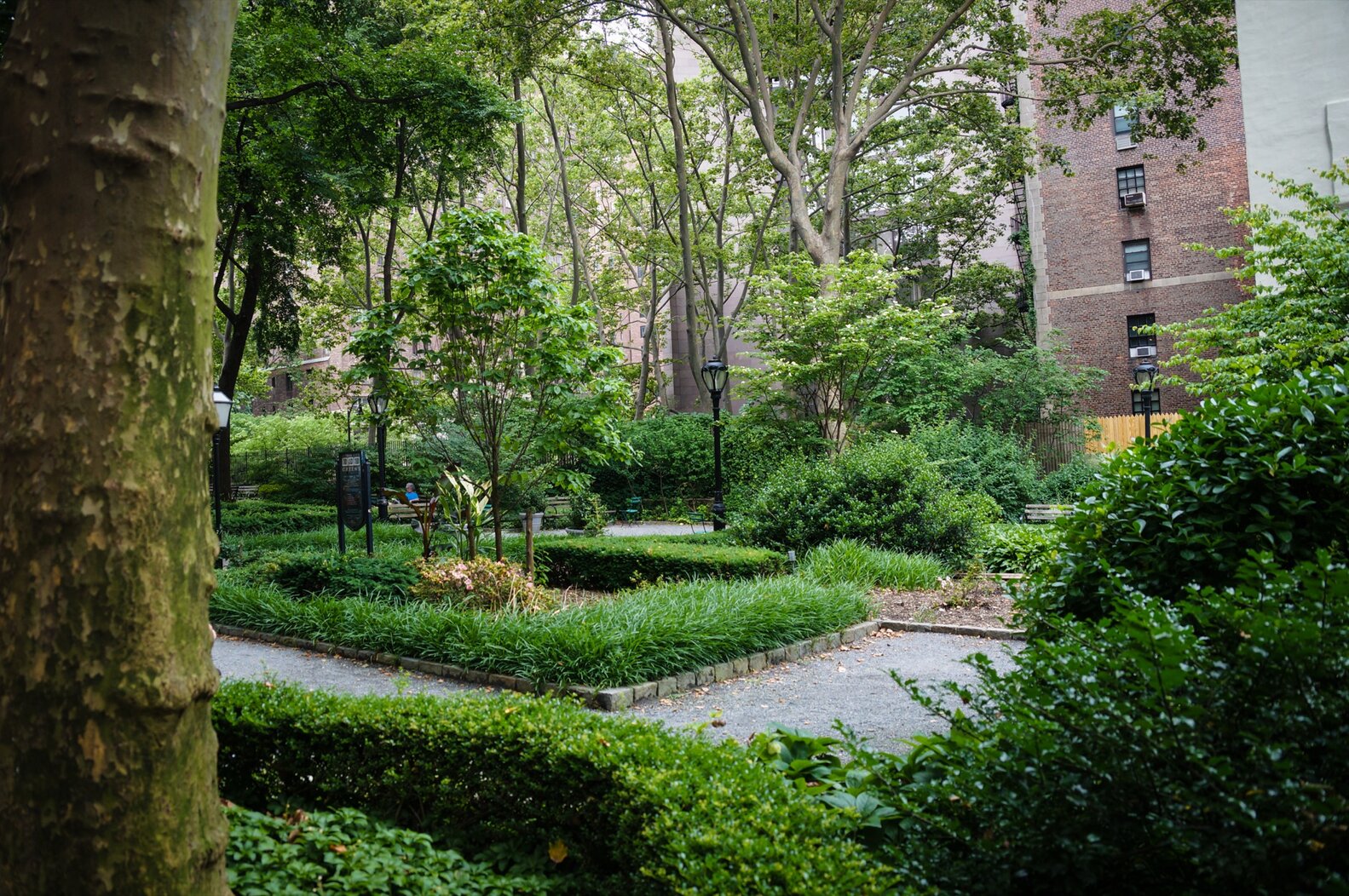 Urban Forest Bathing in NYC: Where to Get Fresh Air During Quarantine ...