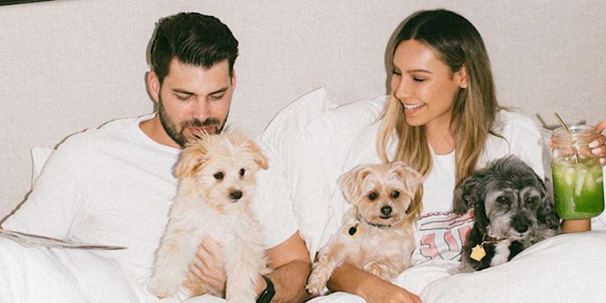 Couple Keeps Bringing Home Rescue Pups - Videos - The Dodo