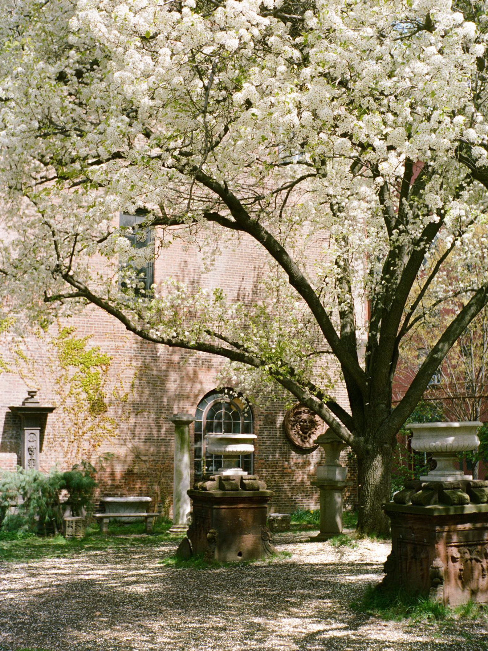 Elizabeth Street Garden NYC: Peek Inside the Magical Sculpture Garden ...