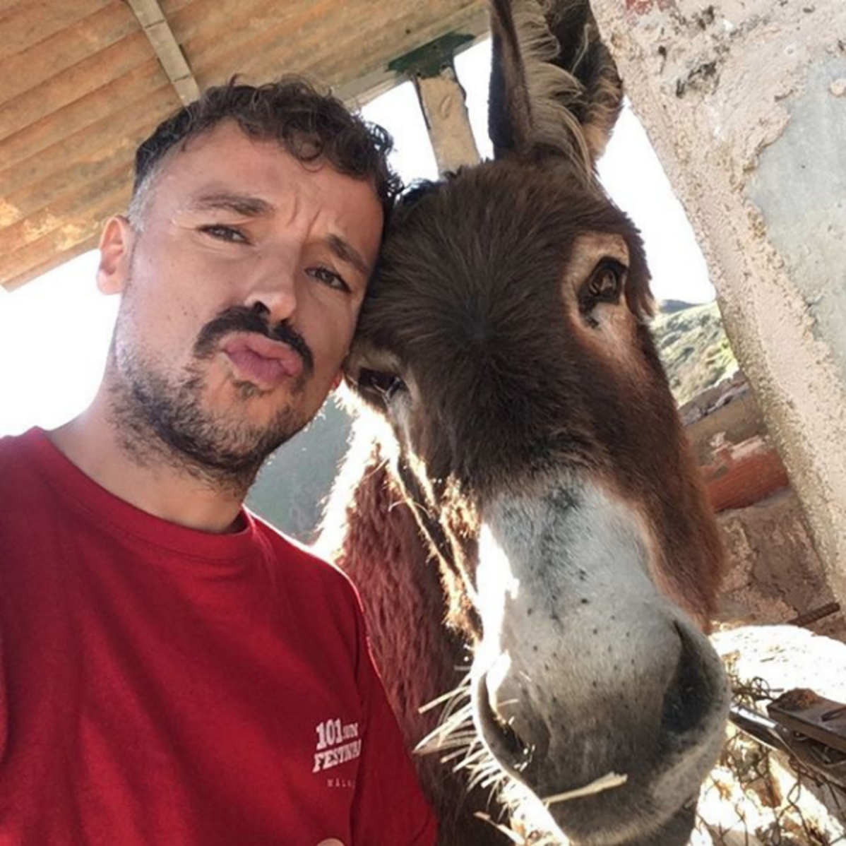 Man And Donkey Cry With Joy While Reuniting After Quarantine - The Dodo