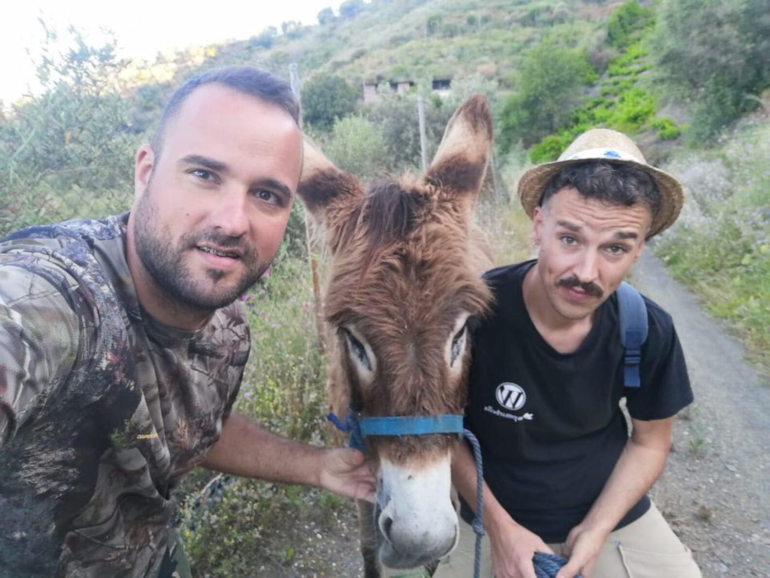 Man And Donkey Cry With Joy While Reuniting After Quarantine - The Dodo