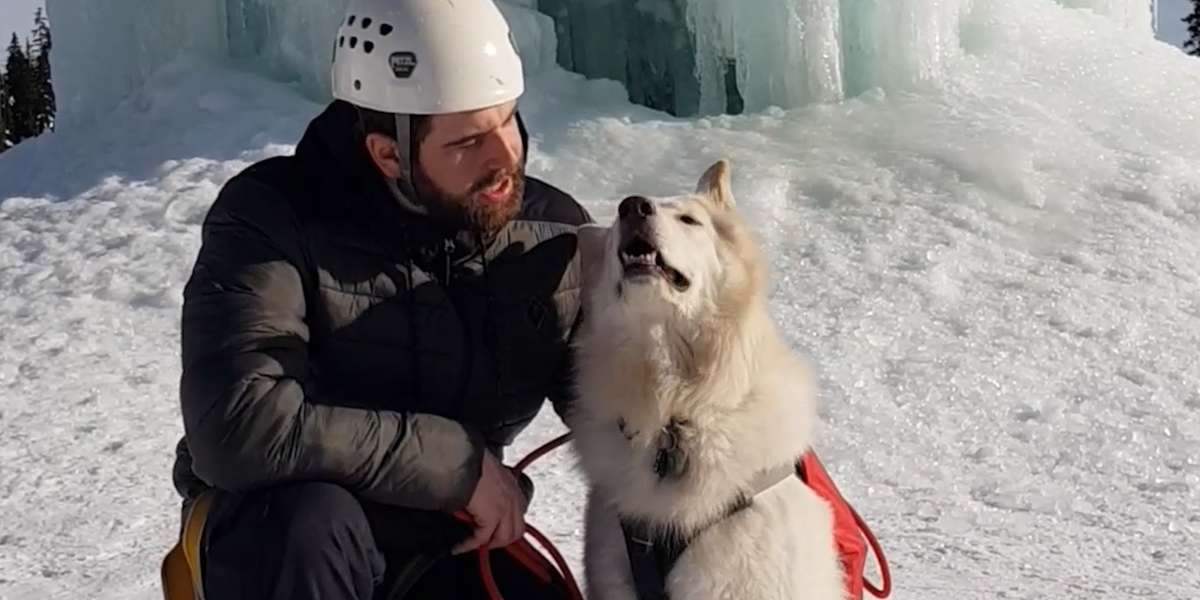 Guy Takes His Dog On A Trip Around The World - Videos - The Dodo