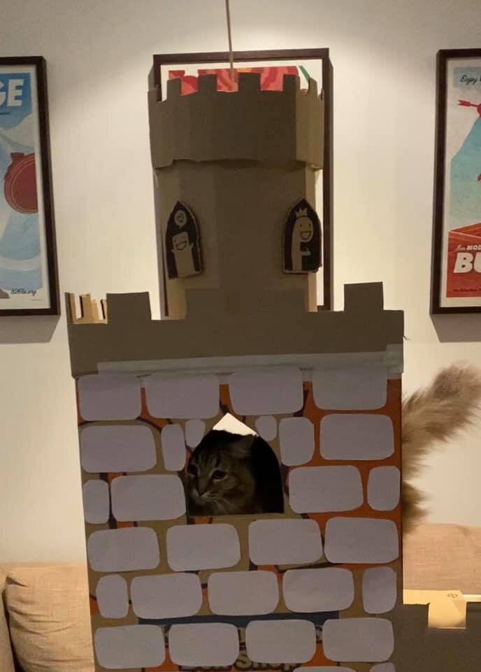 Couple Builds Their Cat A Castle - The Dodo
