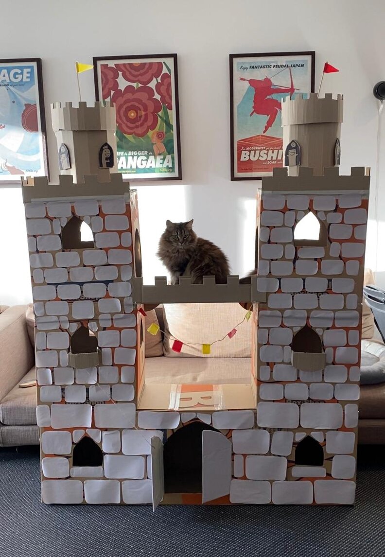 Couple Builds Their Cat A Castle - The Dodo