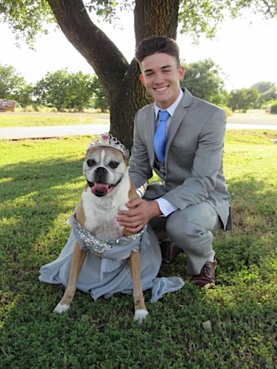 Teen Holds His Own Prom With Dog After His School's Was Cancelled - The ...