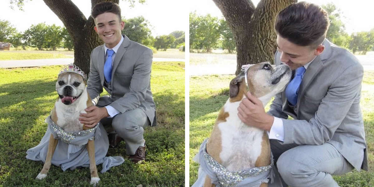 Teen Holds His Own Prom With Dog After His School's Was Cancelled - The ...