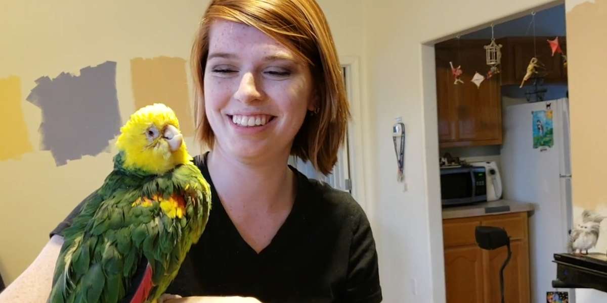 Woman Flies Across Country To Adopt A Bird She’s Never Met - Videos ...