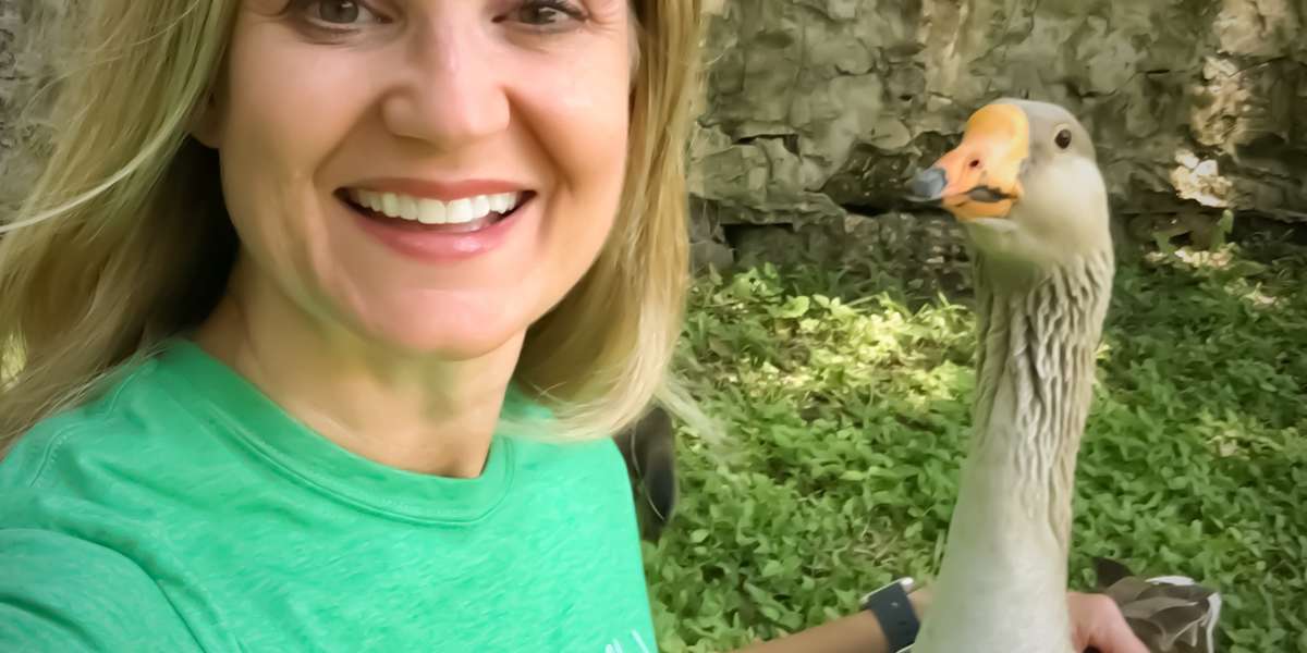Goose Picks This Lady To Be His Mom - Videos - The Dodo