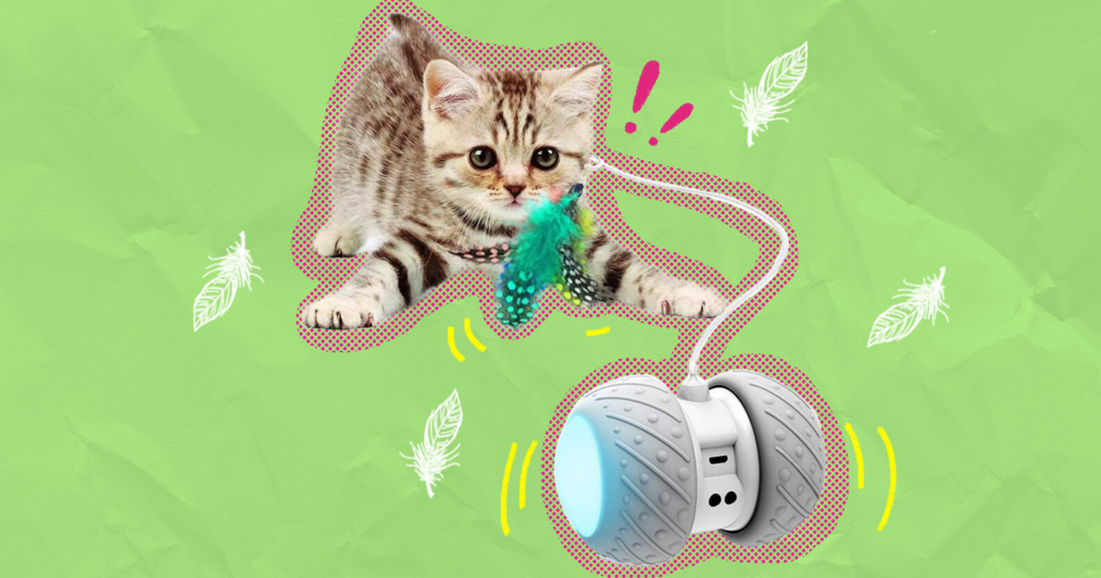 The Best Feather Toys For Your Active Cat - The Dodo