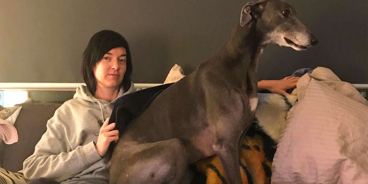 Nervous Greyhound No One Wanted Finds The Perfect Mom - Videos - The Dodo