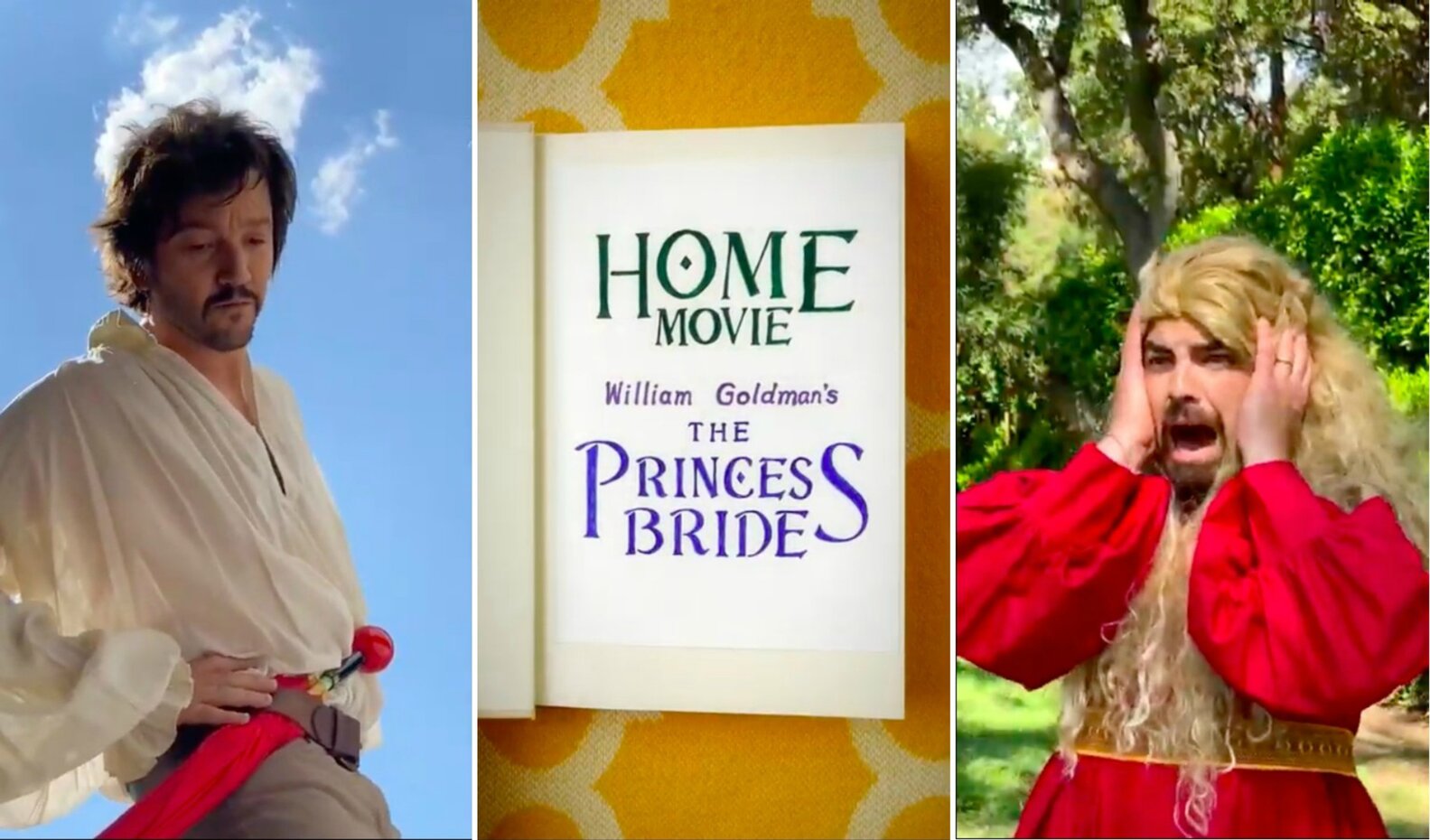 'The Princess Bride' Remake: Homemade Project Coming to Quibi in 2020 ...