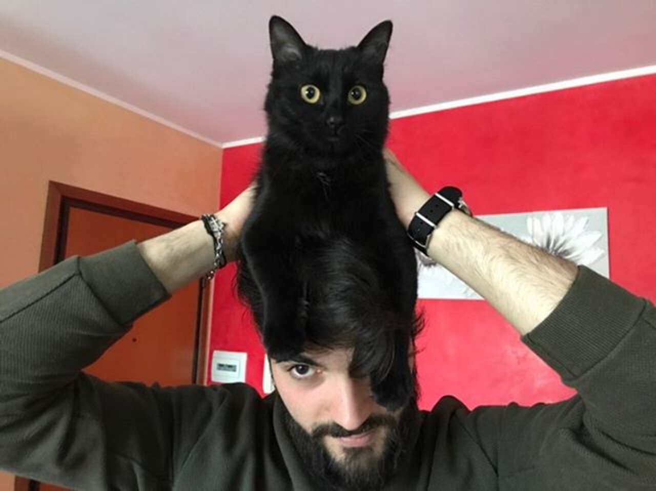 Helpful Cat Lets Her Dad Know When He’s Had Enough To Eat - The Dodo