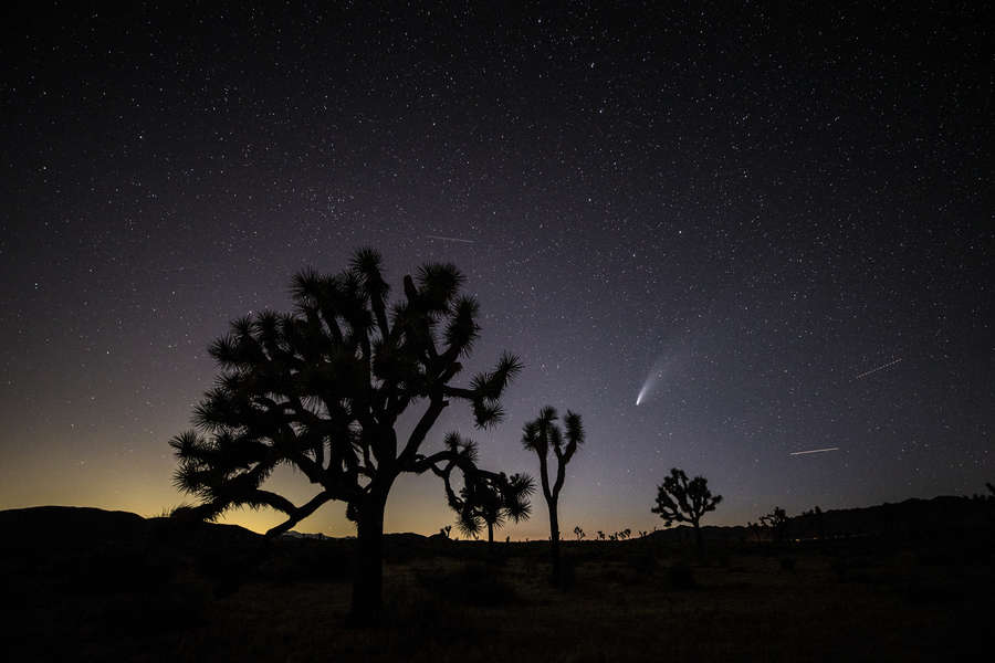 How to Photograph Comet Neowise: Everything You Need to Know - Thrillist