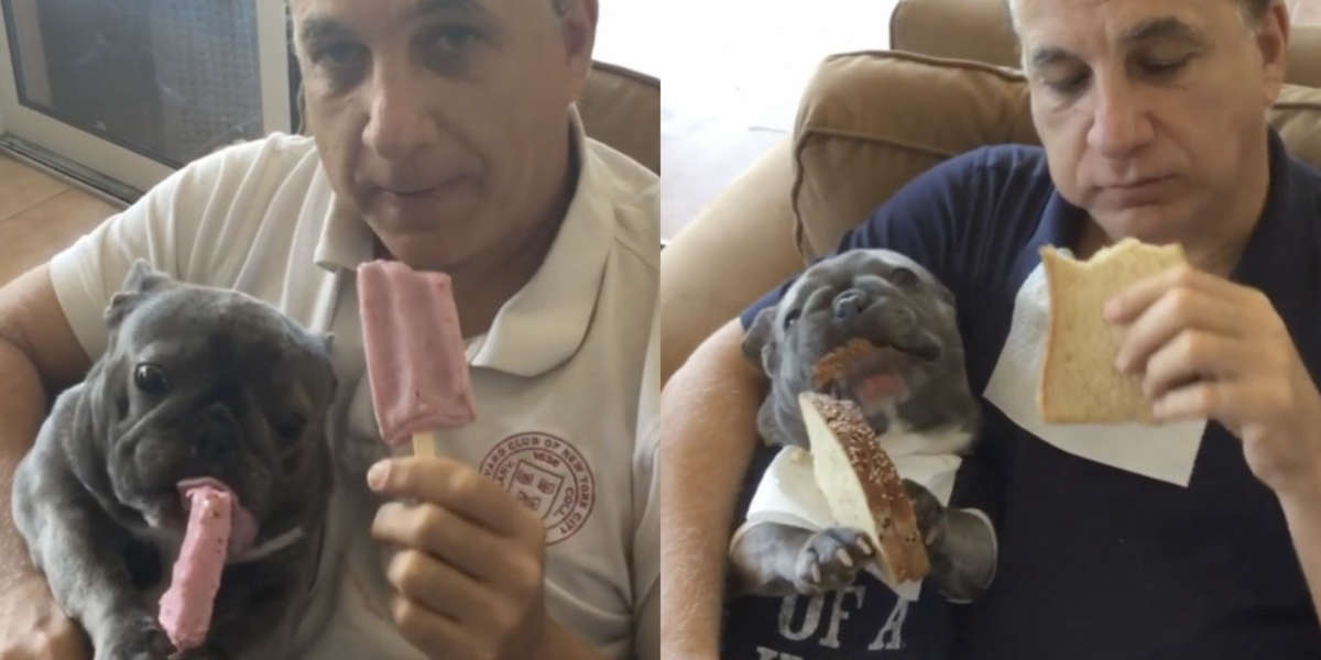 Dog Loves Eating His Snacks With His Paws - The Dodo