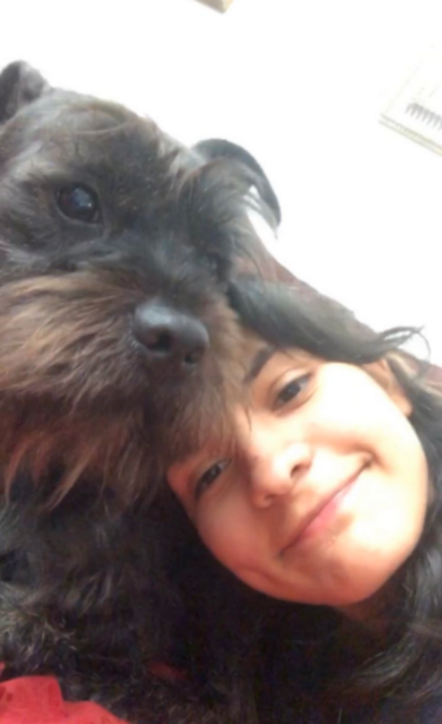 Dog Sees Owner Doing Pull-Ups And Decides To 'Save' Her - The Dodo