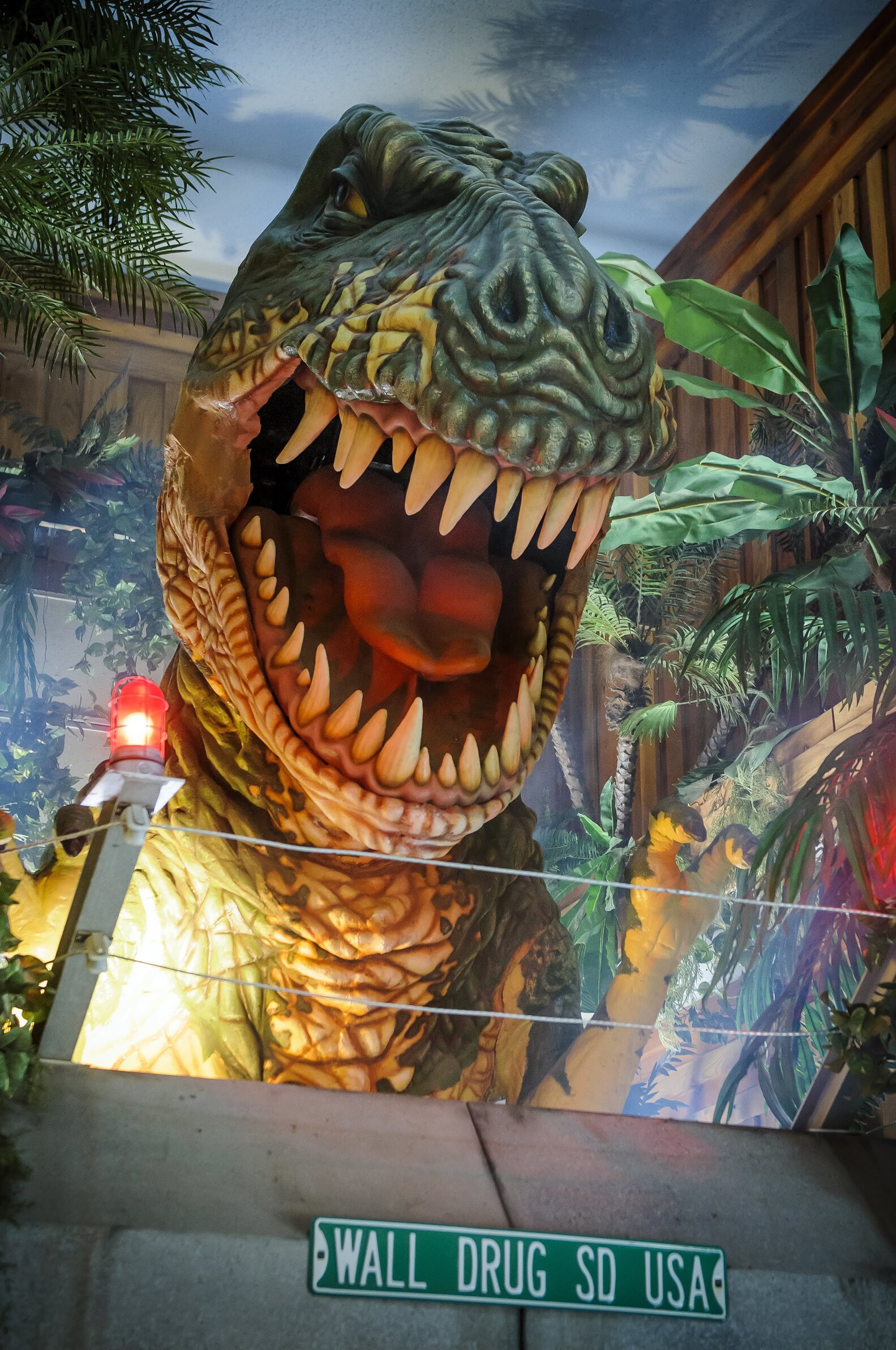 What is 'Wall Drug'? How the Badlands Roadside Attraction Went ...