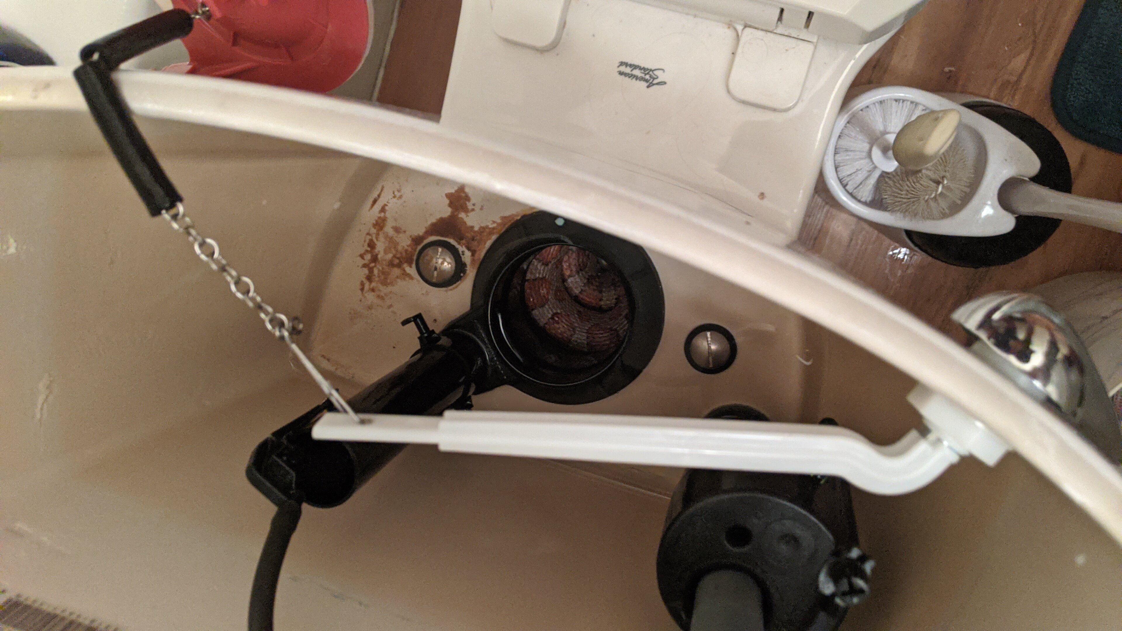 Woman Sees Snake Staring Back At Her From The Toilet - The Dodo