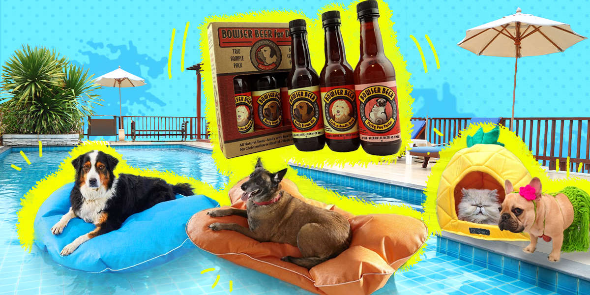 What Every Dog Needs At A Pool Party - DodoWell - The Dodo