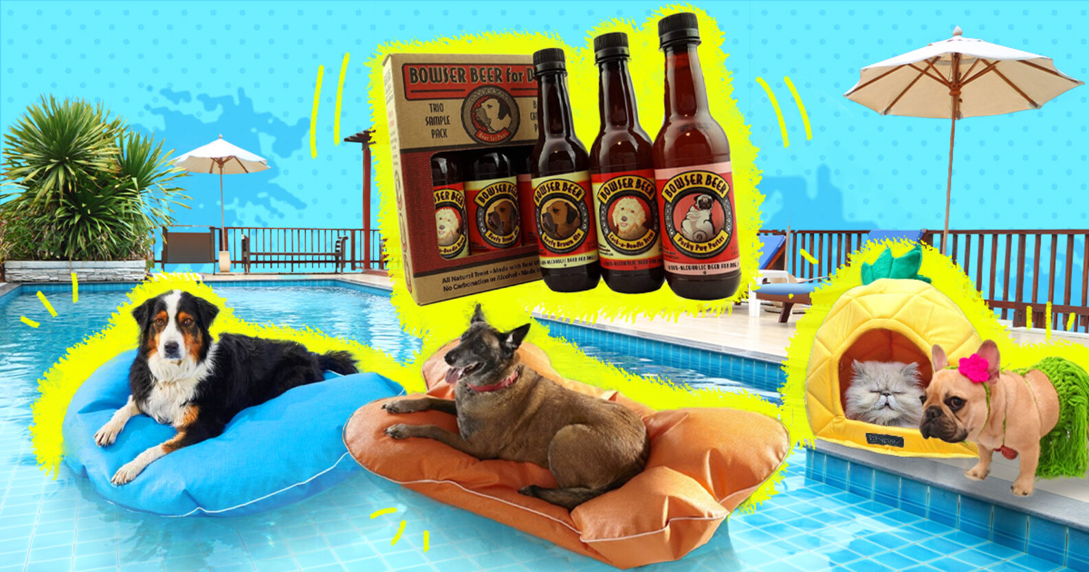 What Every Dog Needs At A Pool Party - DodoWell - The Dodo