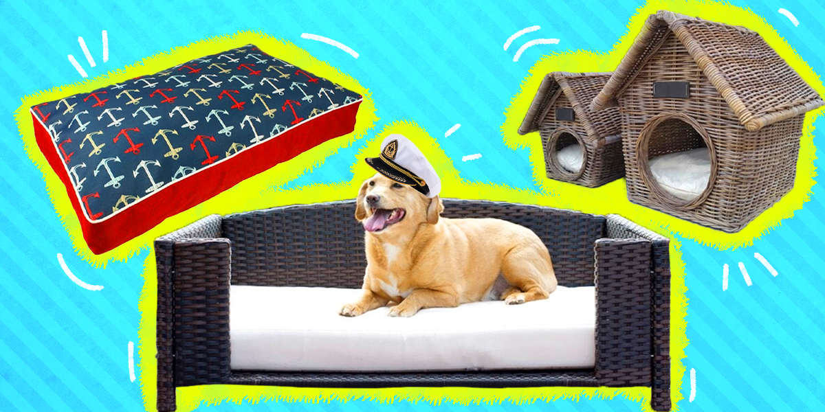 Preppy Dog Accessories You Need To Have - DodoWell - The Dodo