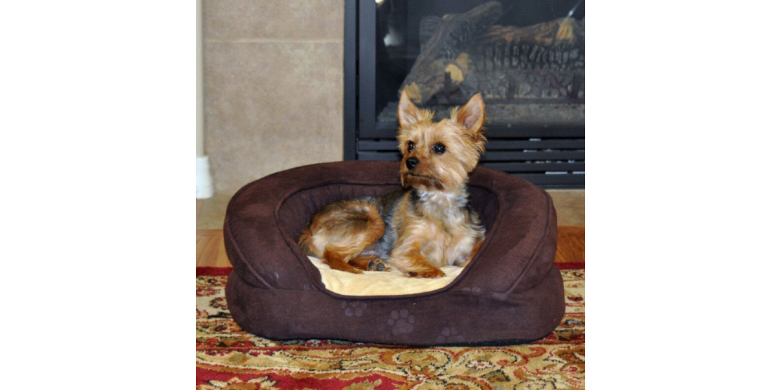 The Best Orthopedic Dog Beds For Your Senior Dog - DodoWell - The Dodo