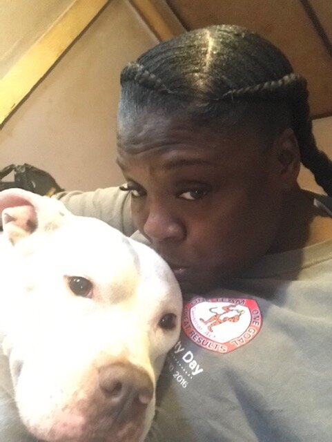 Pitbull With Cornrows