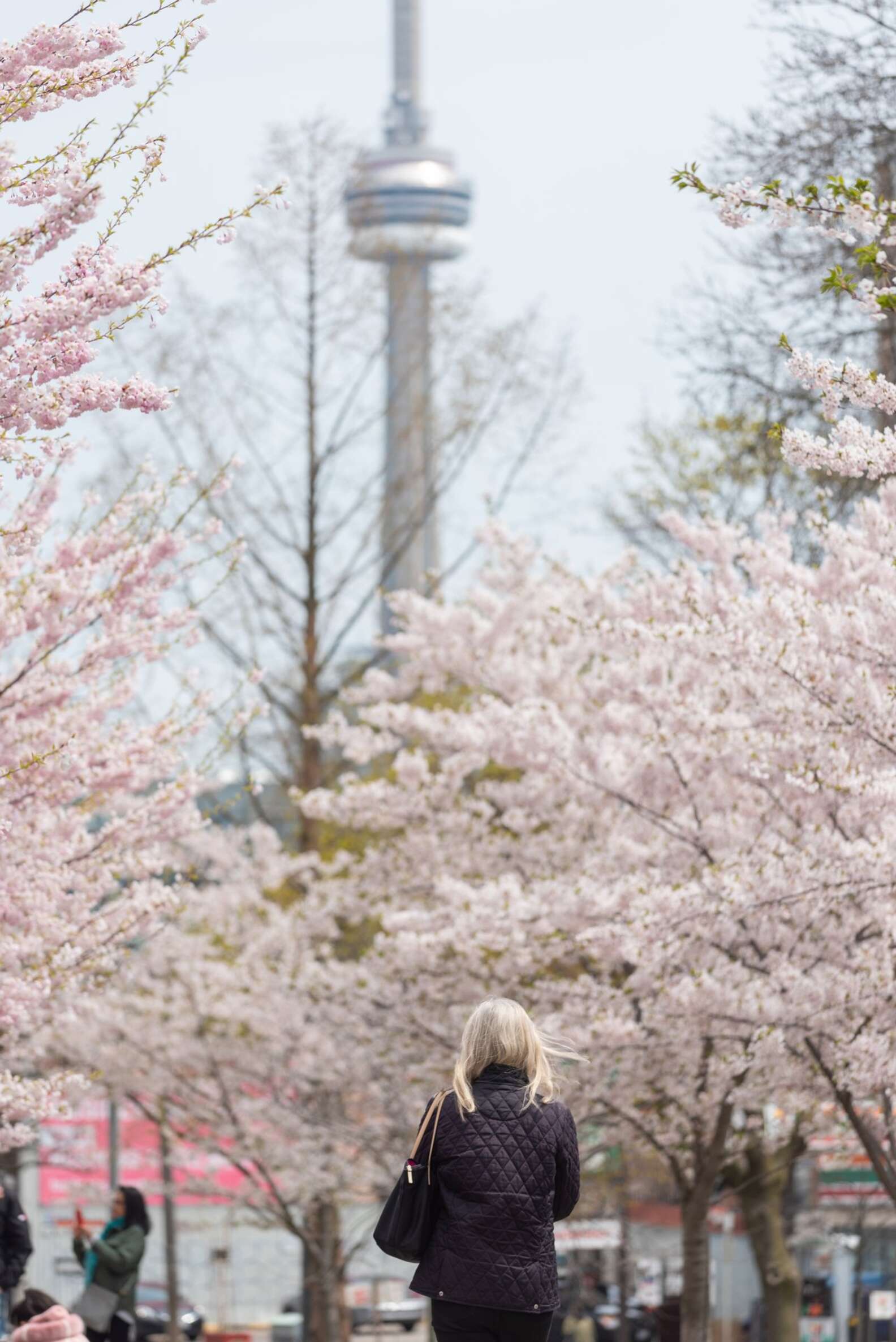 Things to Do Outside In Toronto: Best Parks & Beaches to Visit Now ...