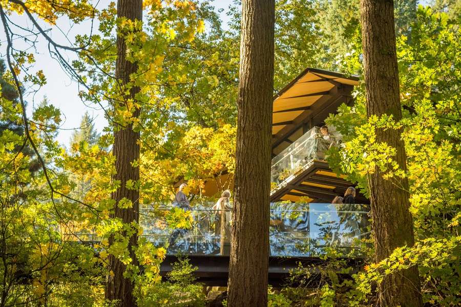 Fall Foliage Near Portland: Best Places to See the Leaves Change Color ...