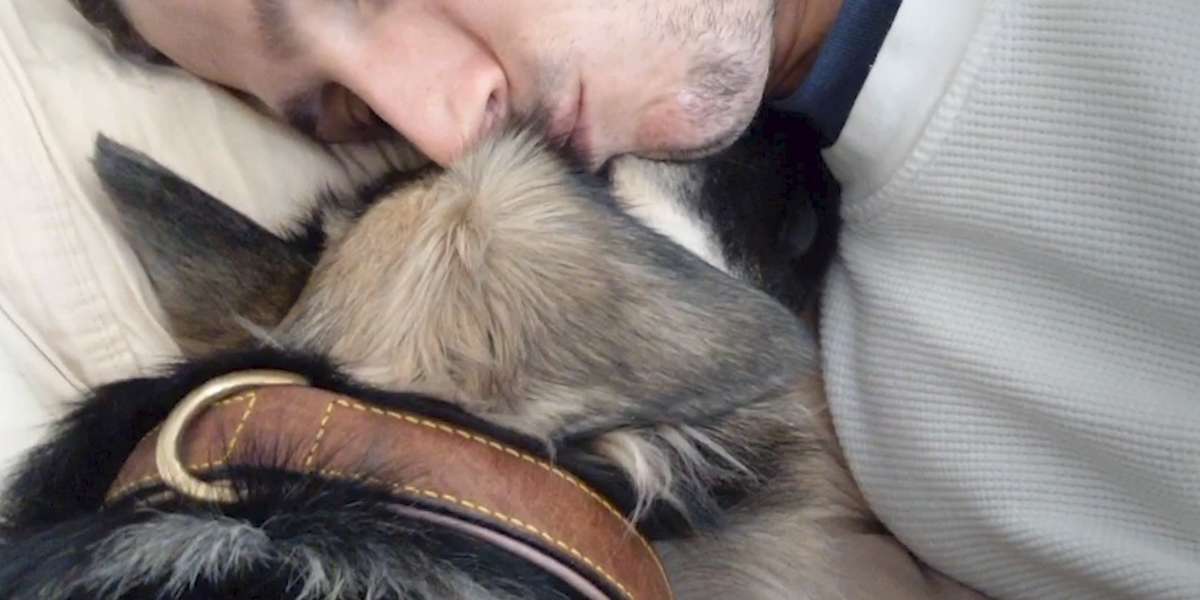 Scared Rescue Dog Slowly Falls In Love With Her New Dad - Videos - The Dodo