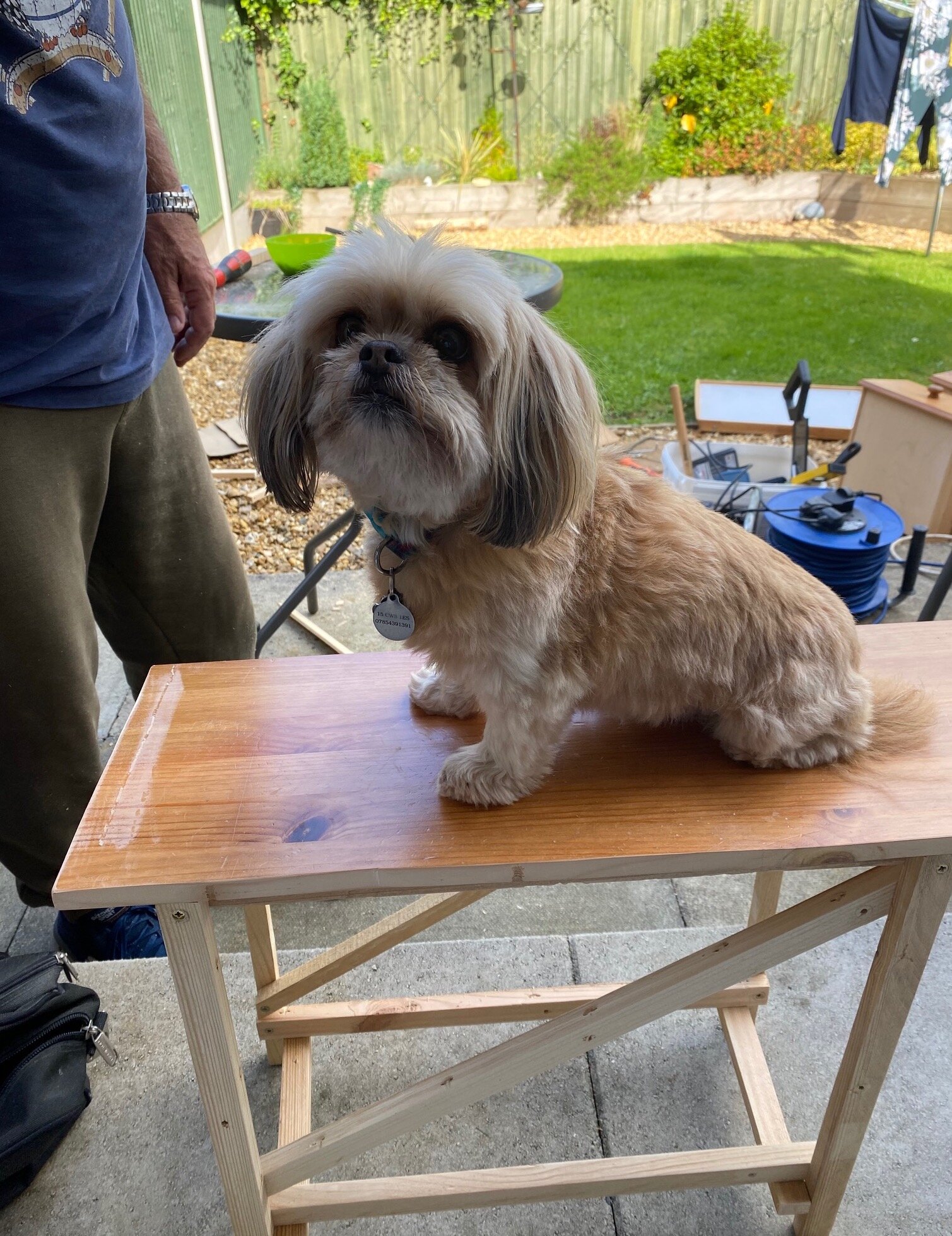 Grandpa Builds A Special Little Ramp For Dog With Bad Back - The Dodo