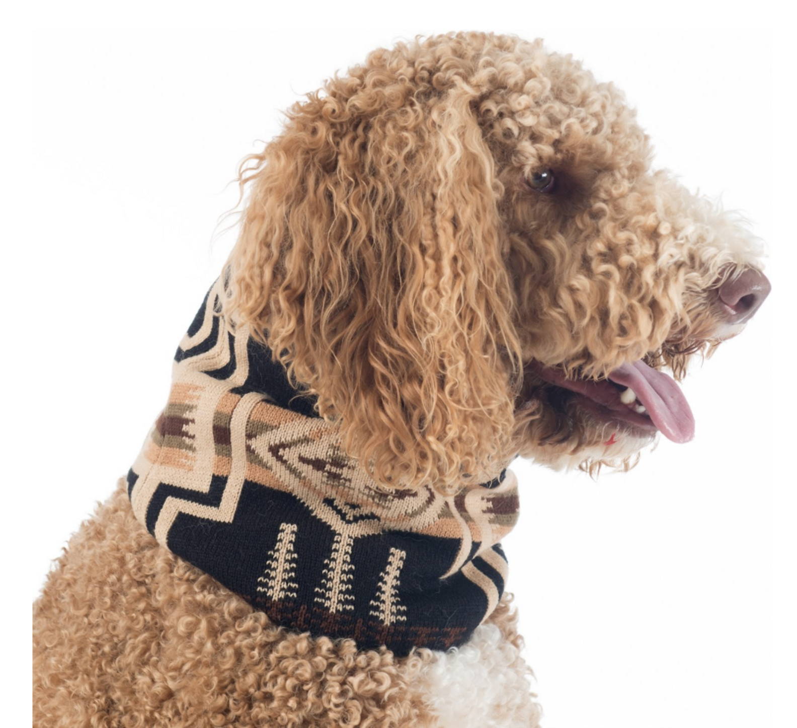 Ever Heard Of A Dog Snood? You'll LOVE Them - DodoWell - The Dodo