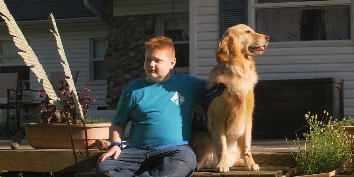 This Service Dog Changed His Whole Family's Life - The Dodo