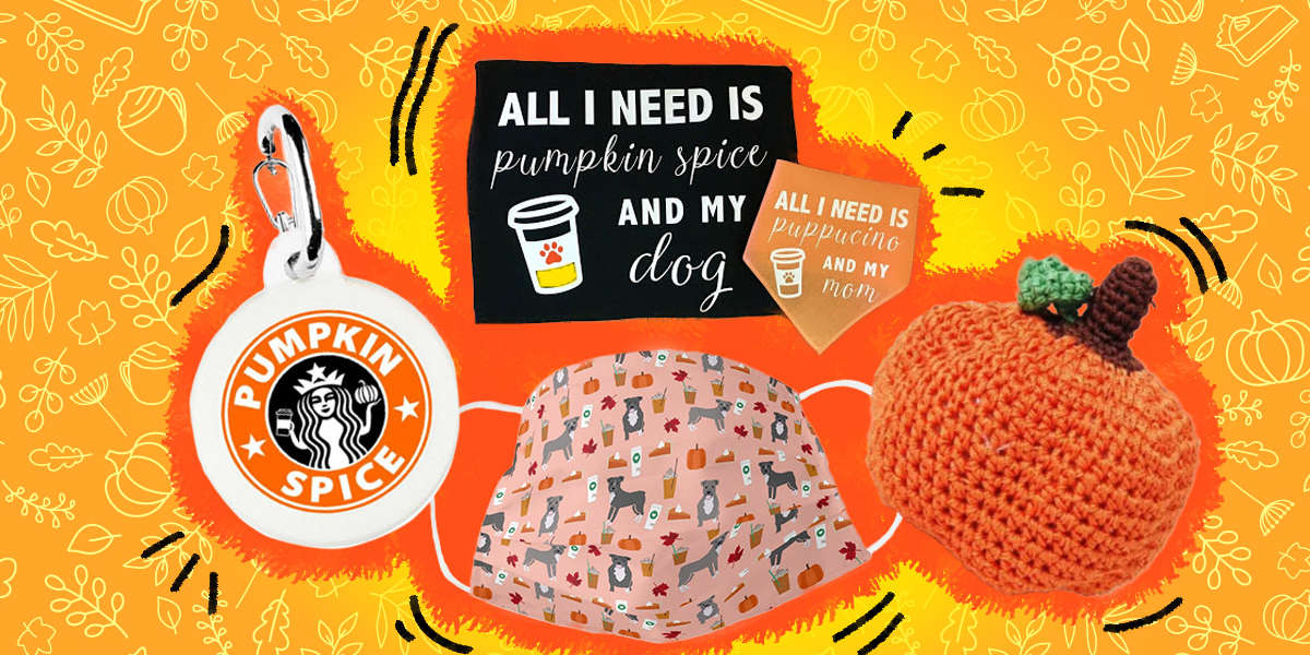 Fall Themed Dog Toys, Treats And Accessories - DodoWell - The Dodo