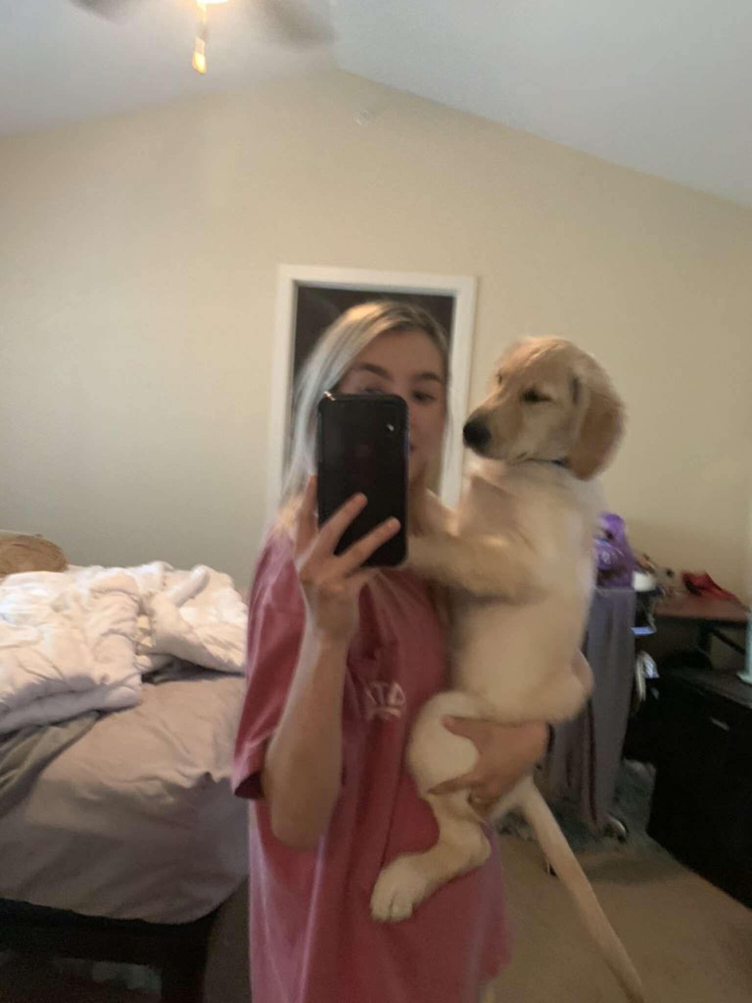 People Can't Stop Talking About This Puppy's Adorable Little "Butt ...