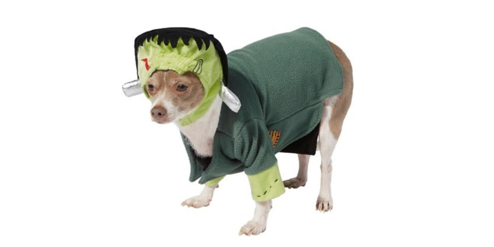 13 Of The Scariest Dog Halloween Costumes - The Dodo