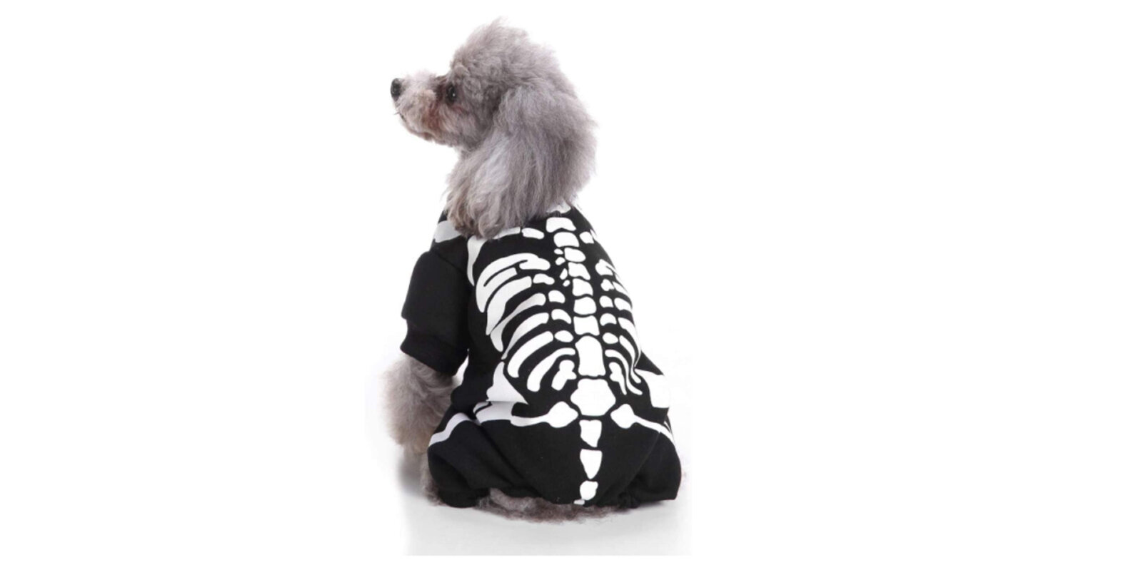 13 Of The Scariest Dog Halloween Costumes - The Dodo