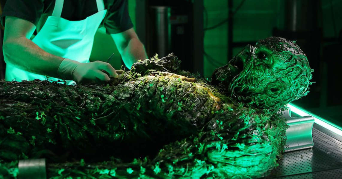 'Swamp Thing' Review: Why the Show is Worth Watching Right Now - Thrillist