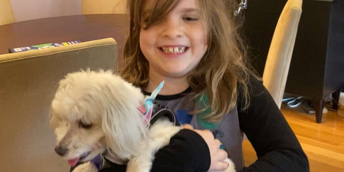 Dad Finds His Daughter The Perfect Rescue Dog - Videos - The Dodo