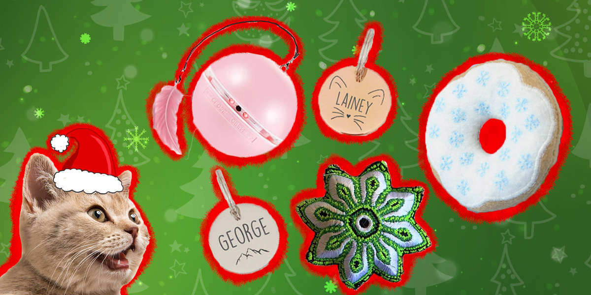 The Best Stocking Stuffers For Your Cat - DodoWell - The Dodo