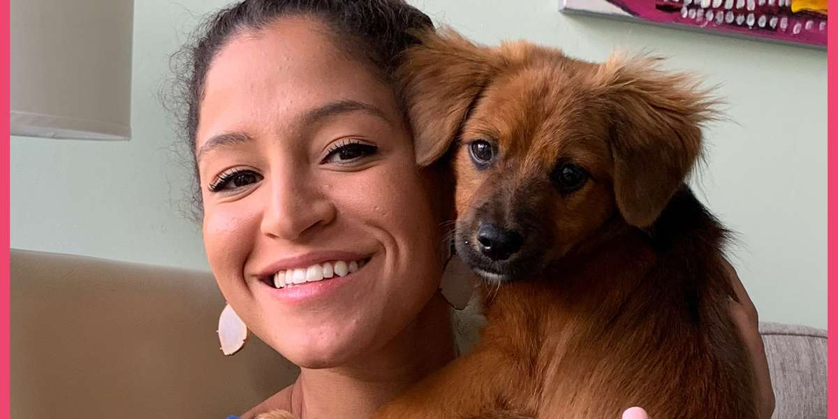 Taino The Island Dog Goes On A Plane Ride With His Rescuers - Videos ...