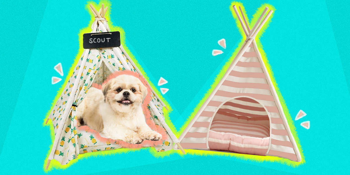 The Best Dog And Cat Tent Beds - DodoWell - The Dodo