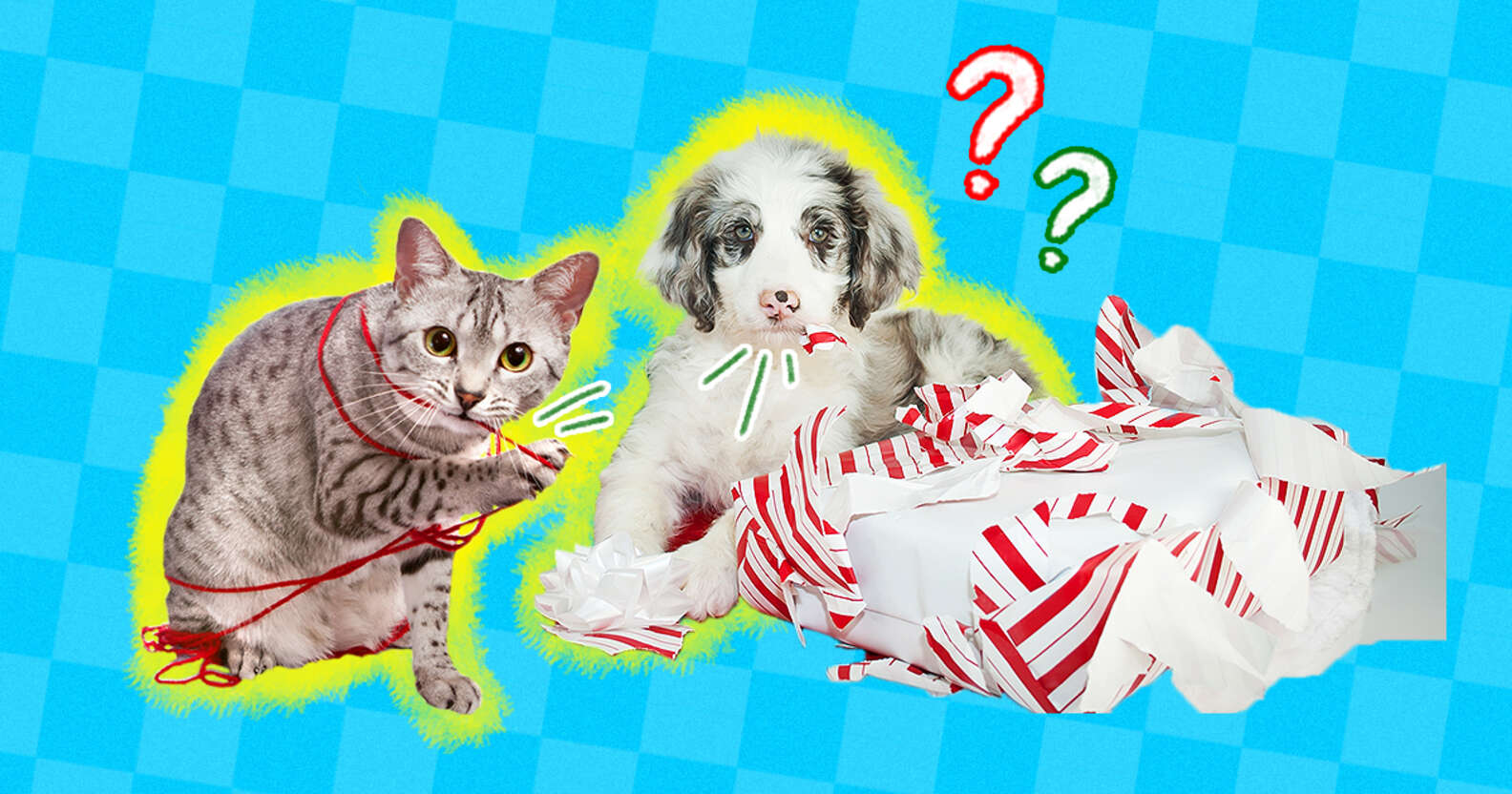 Is Wrapping Paper Safe For My Dog Or Cat DodoWell The Dodo is-wrapping-paper-safe-for-my-dog-or-cat-dodowell-the-dodo