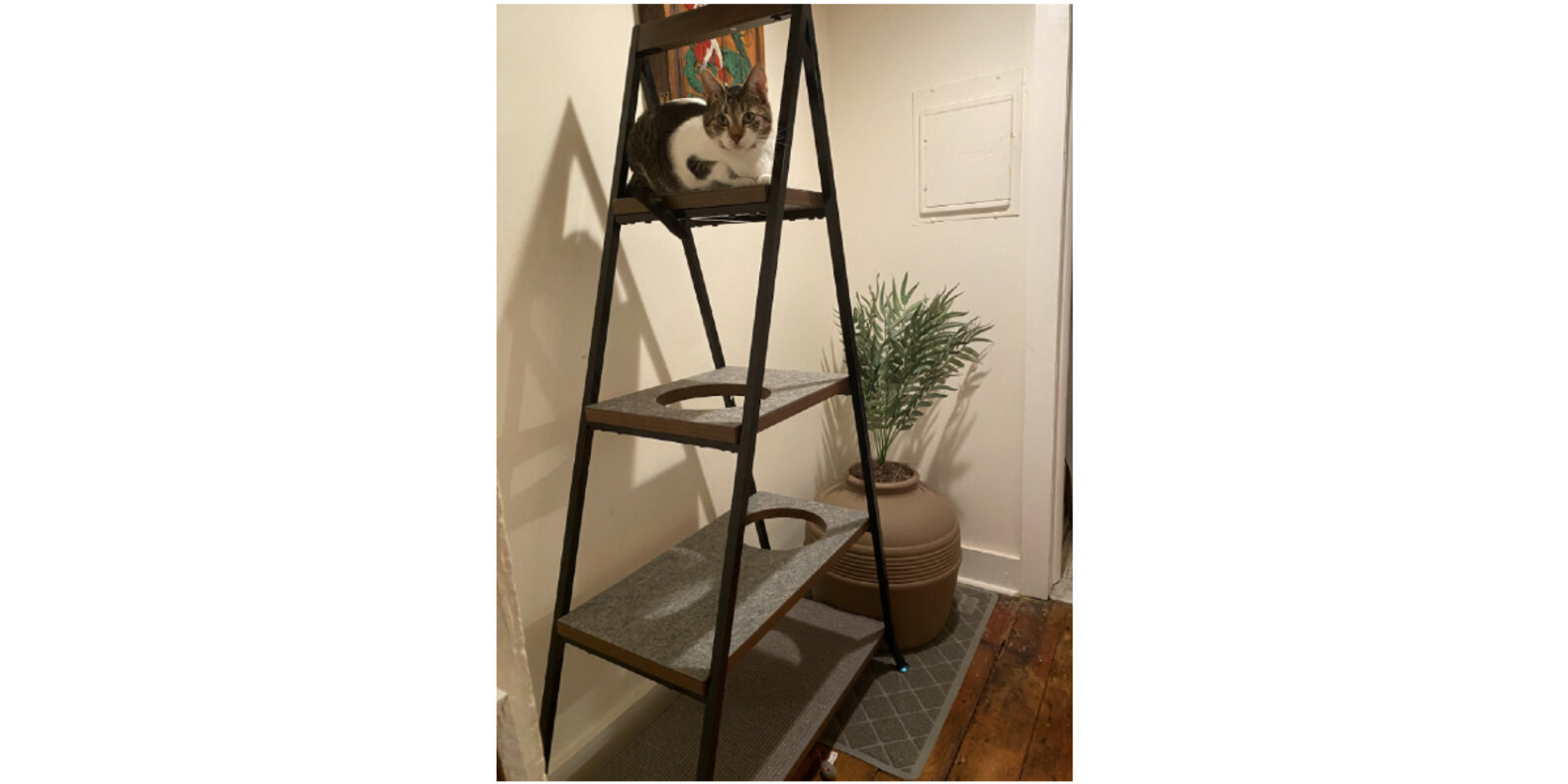 Dodo Pick: This Modern Cat Tree Is Actually Stylish - DodoWell - The Dodo