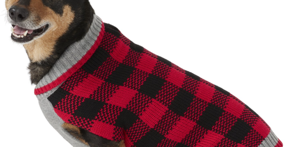 18 Small Gifts To Show Your Dog You Love Them - DodoWell - The Dodo