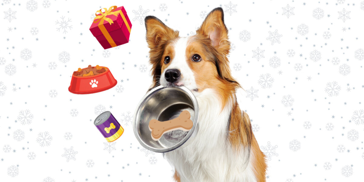 Gift Guide 2020: The Best Gifts For Dogs Who Love Food - DodoWell - The ...