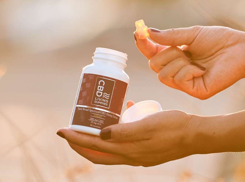 Best Cyber Monday CBD Deals: Where to Buy Affordable Quality CBD ...