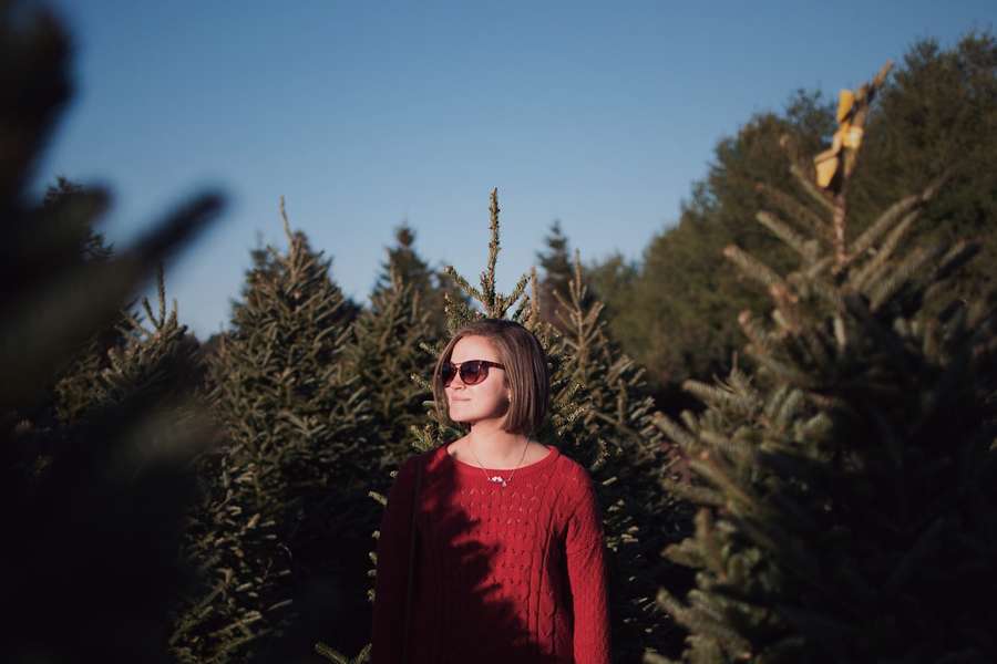 How to Chop Down Your Own Christmas Tree in a National Park This Year ...