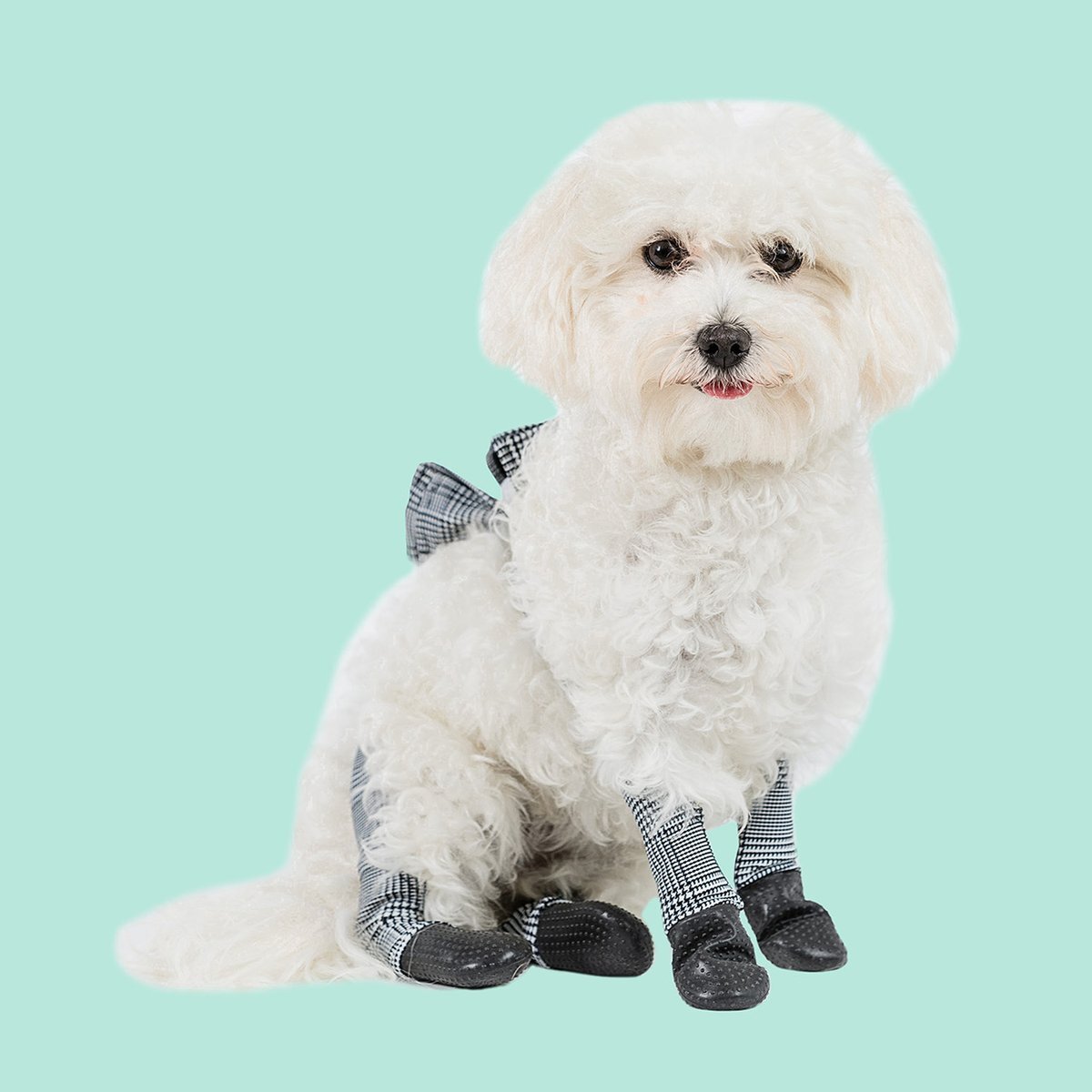 Dog Leg Warmers Exist And They're Perfect For Winter - DodoWell - The Dodo